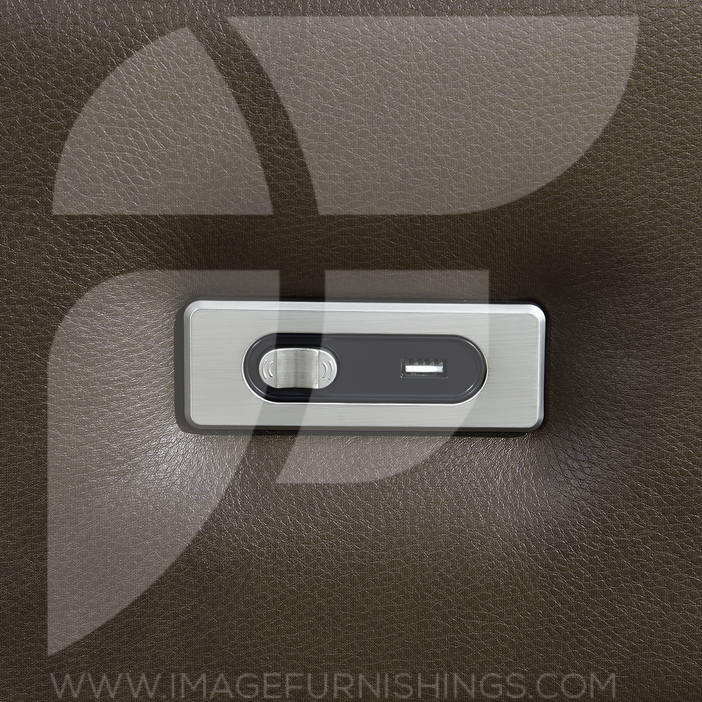 Image Furnishings. LEROY CHESTNUT 1P